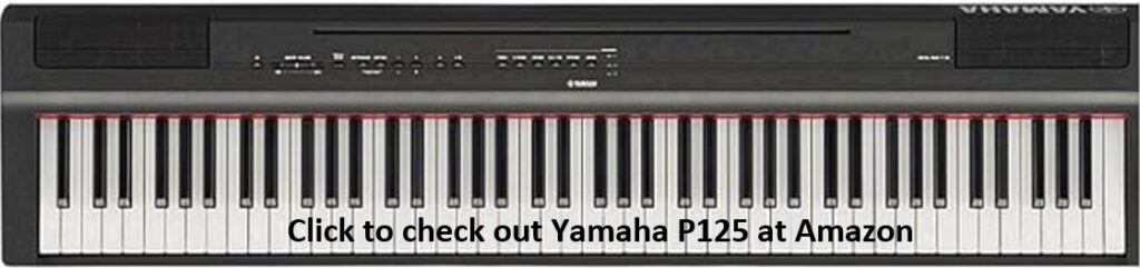 The Best Portable Piano Keyboards for Musicians on the Go - Pianos-Galore